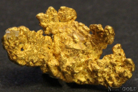 Gold Nuggets