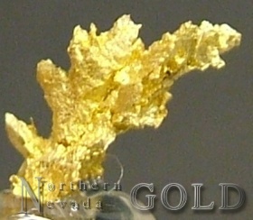 Specimen Gold