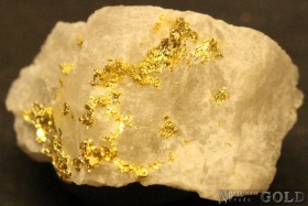 Specimen Gold