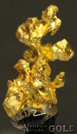 Specimen Gold