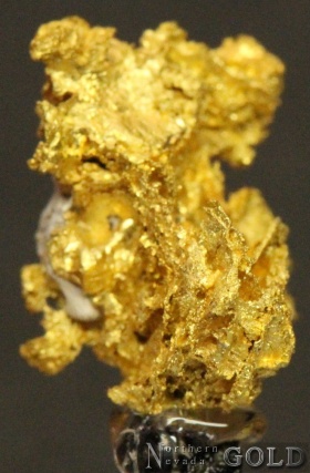 Specimen Gold