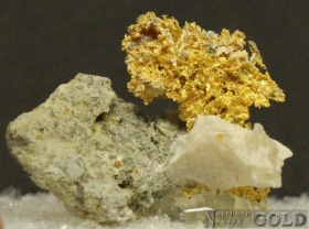 Specimen Gold