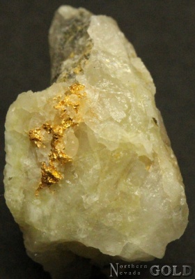 Specimen Gold