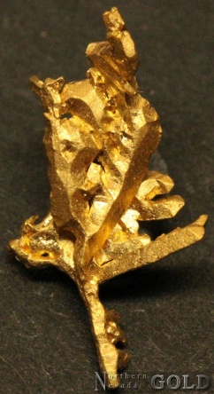 Specimen Gold