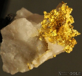 Specimen Gold
