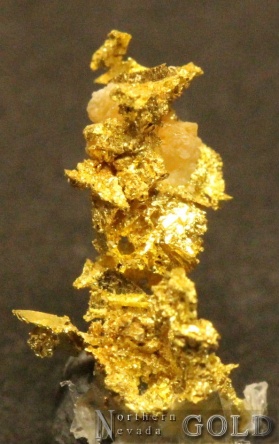 Specimen Gold