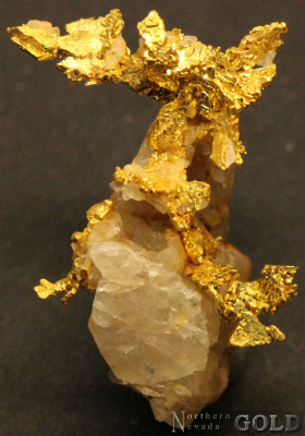 Specimen Gold