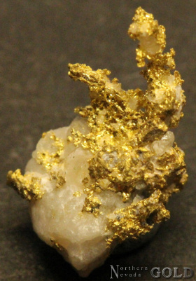 Specimen Gold