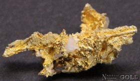 Specimen Gold