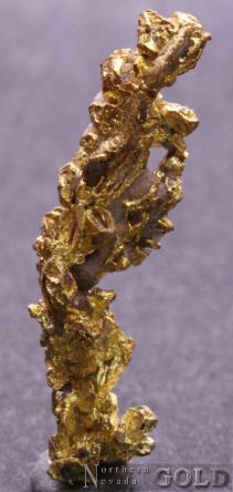 Specimen Gold
