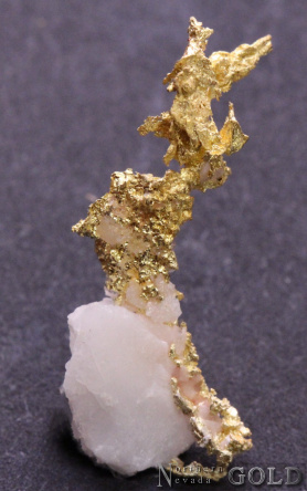 Specimen Gold
