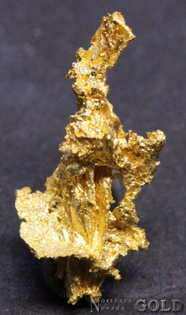 Specimen Gold