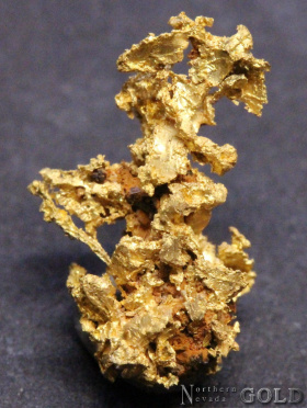 Specimen Gold
