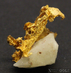 Specimen Gold