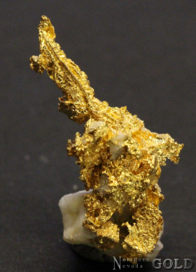 Specimen Gold