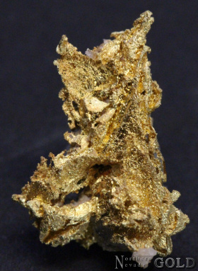 Specimen Gold