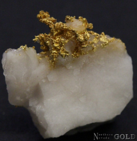 Specimen Gold