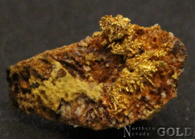 Specimen Gold