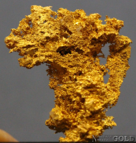 Specimen Gold