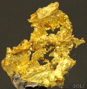 Specimen Gold