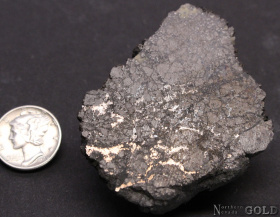 Home [northernnevadagold.com]